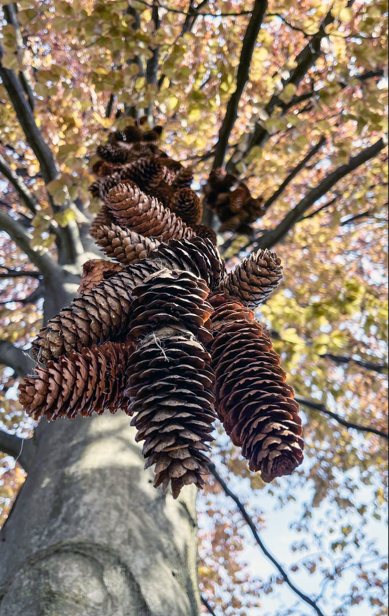 Italia Land Art Ancora!!! - John K Melvin