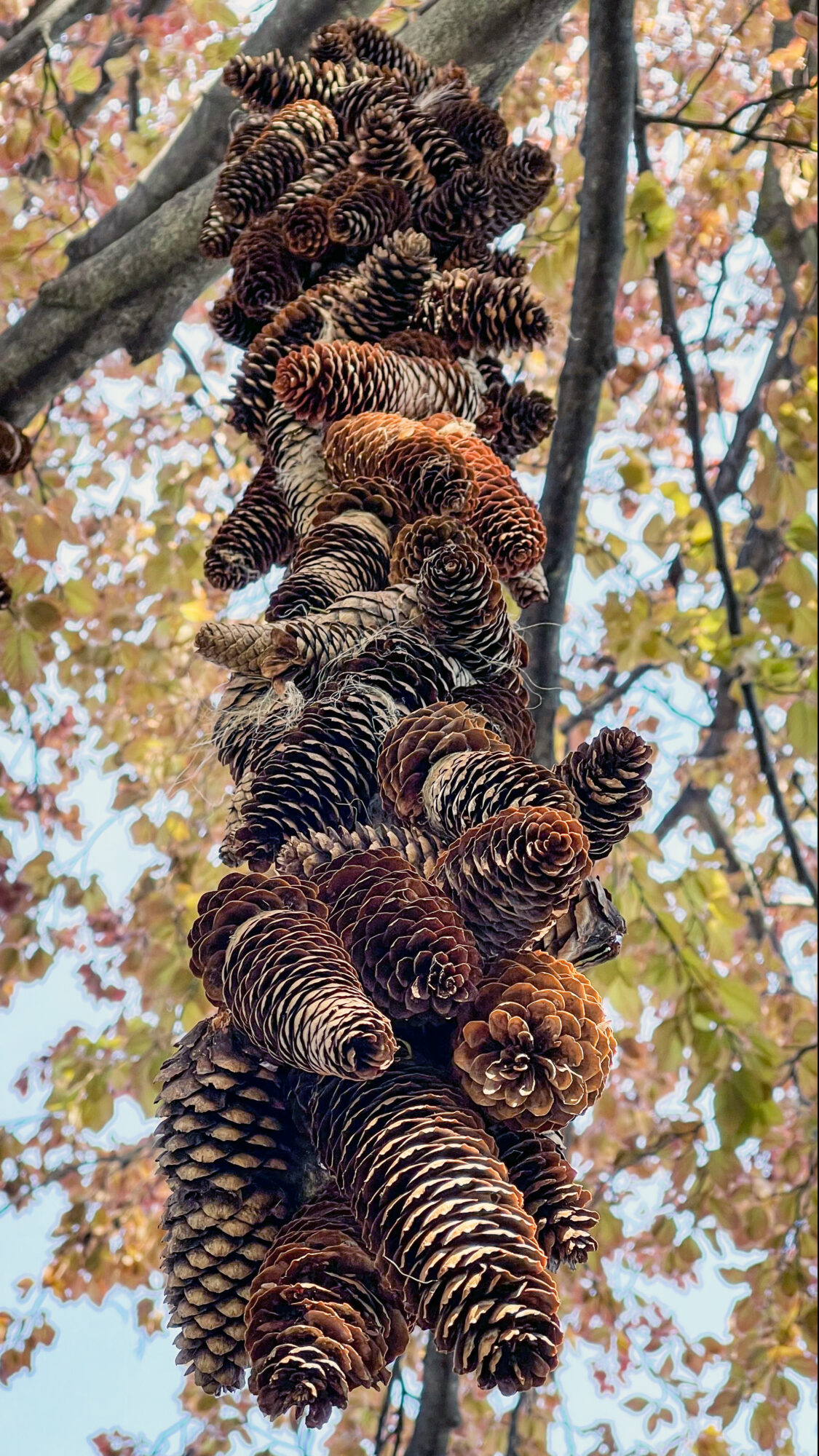 Italia Land Art Ancora!!! - John K Melvin