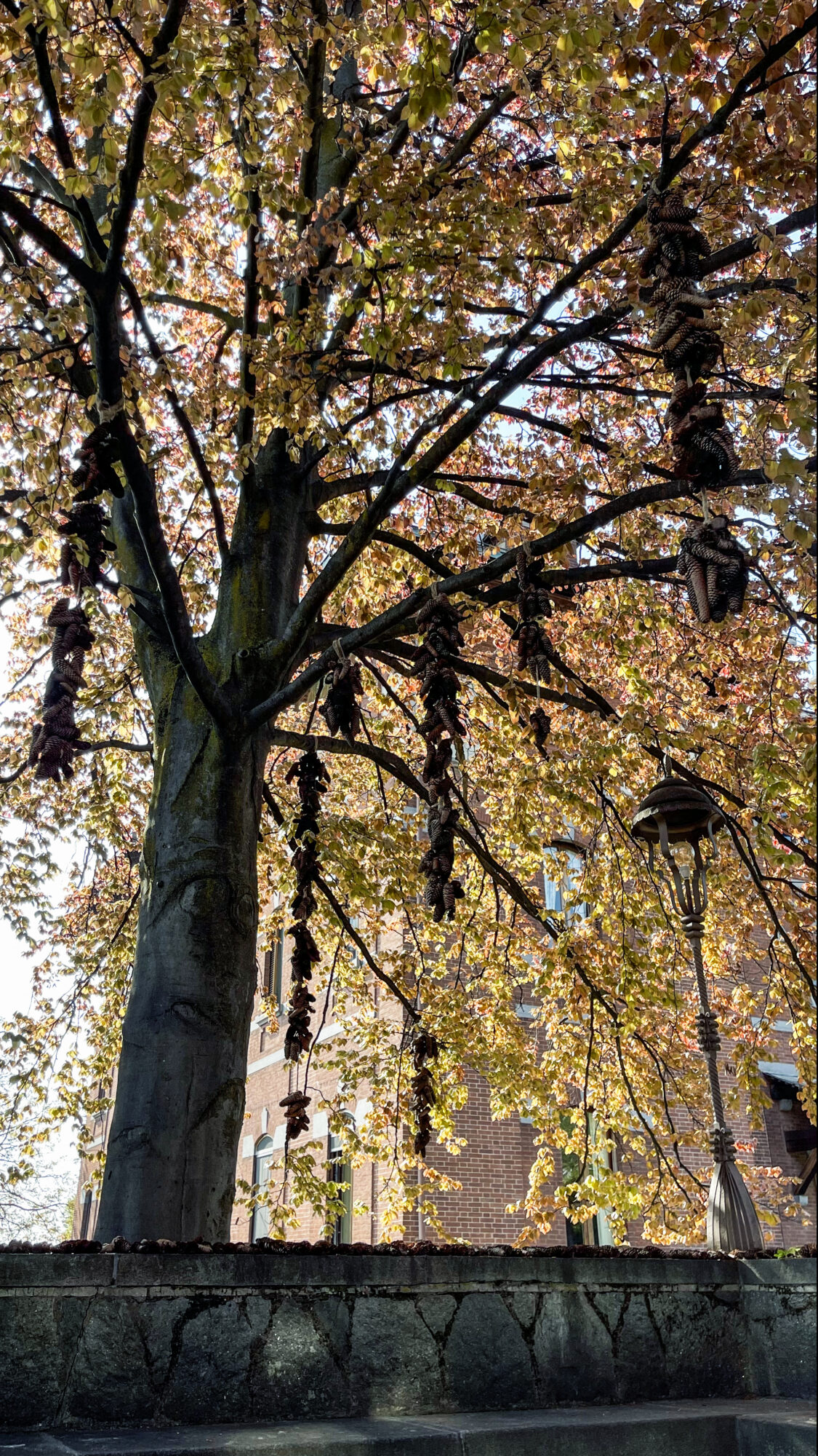 Italia Land Art Ancora!!! - John K Melvin