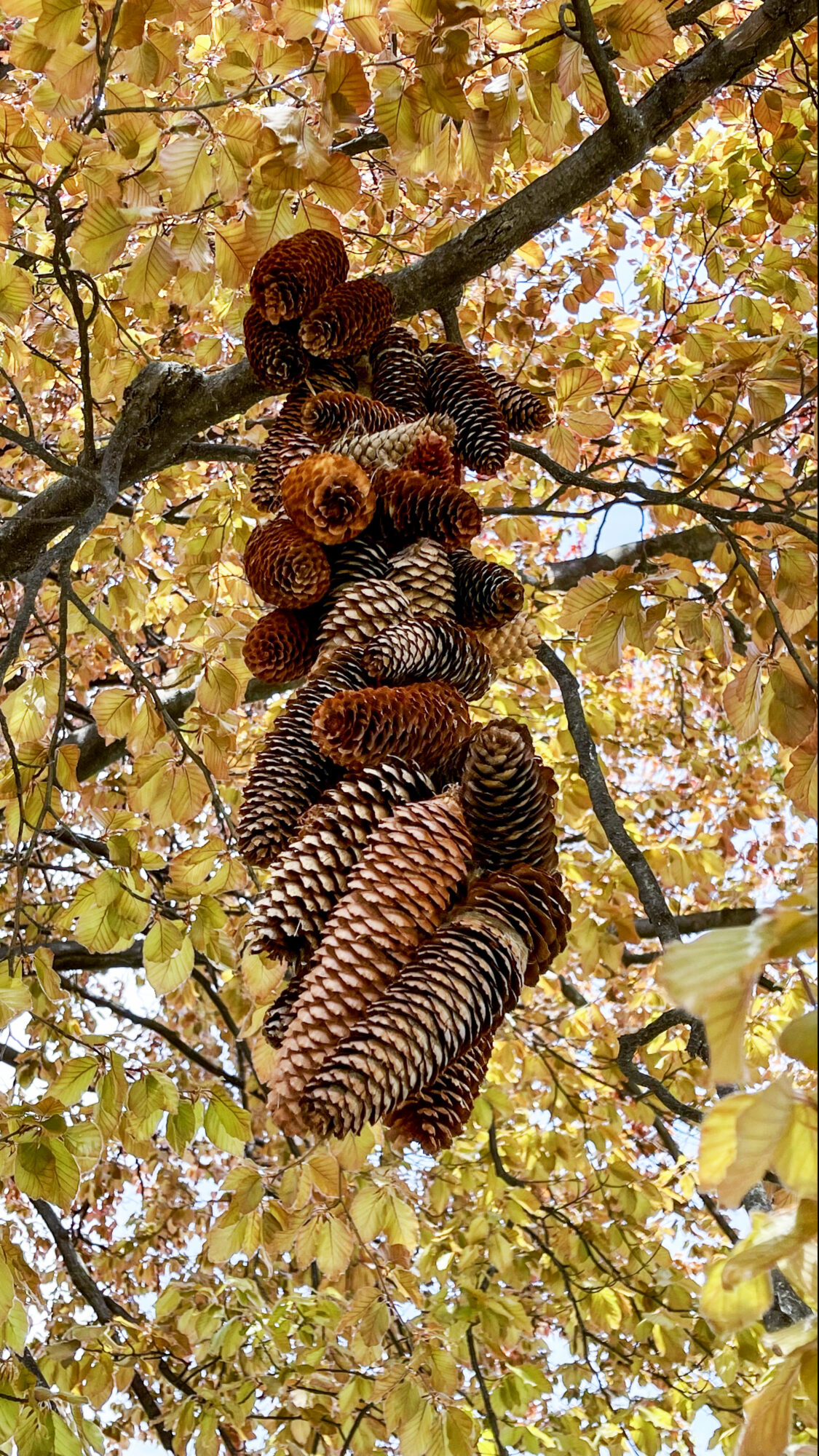 Italia Land Art Ancora!!! - John K Melvin